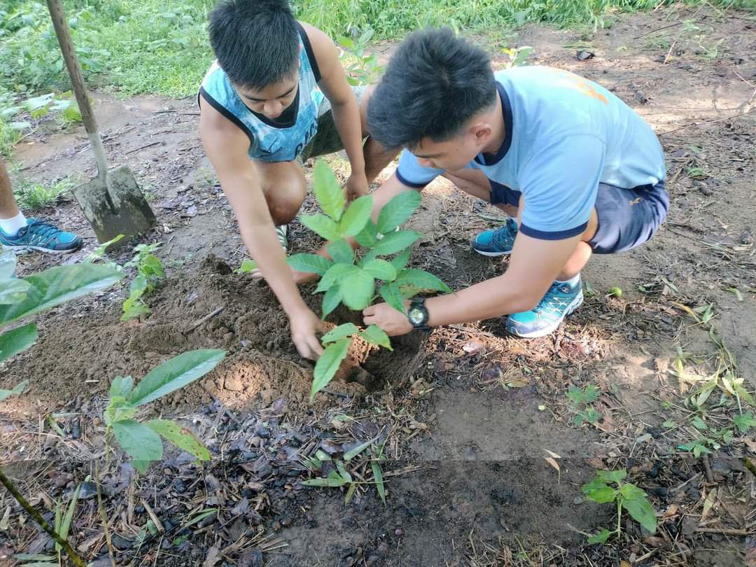 KKDAT members, nagsagawa ng Tree Planting Activity sa Alilem Ilocos Sur