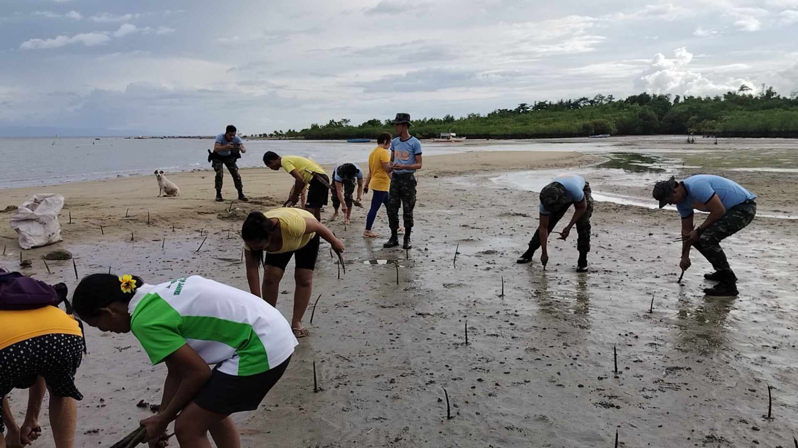 Force Multipliers, nakiisa sa Mangrove Tree Planting at Coastal Clean ...