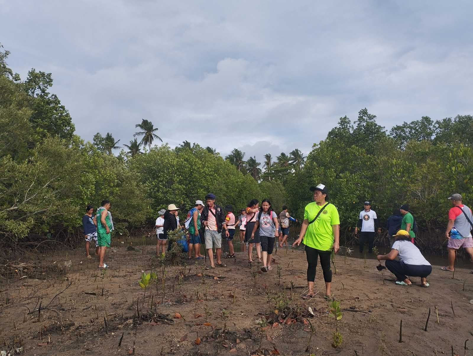 Advocacy Support Group, nagsagawa ng Mangrove Planting Activity