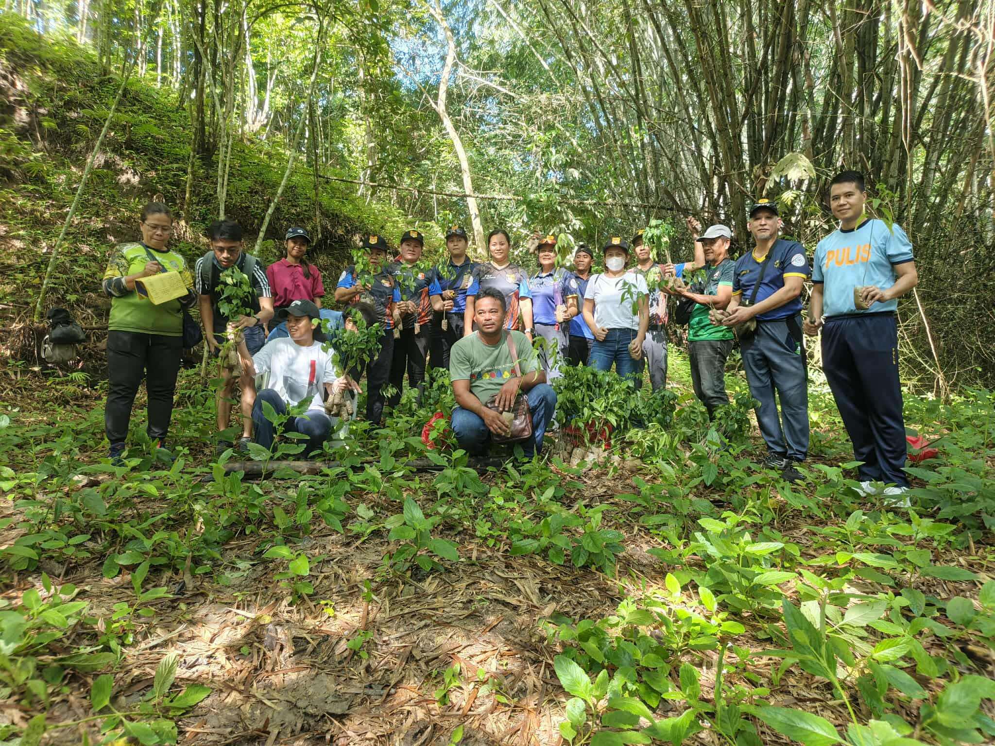 200 punla ng Narra at Acacia Tree, naitanim sa Davao City